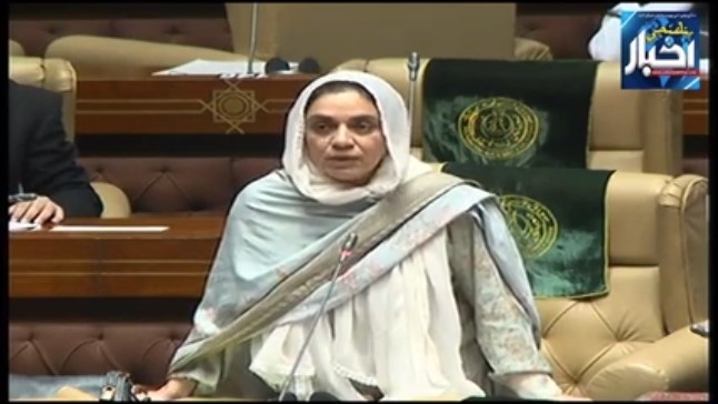 Rabia Azfar Nizami on abandoned child and child protection authority ...